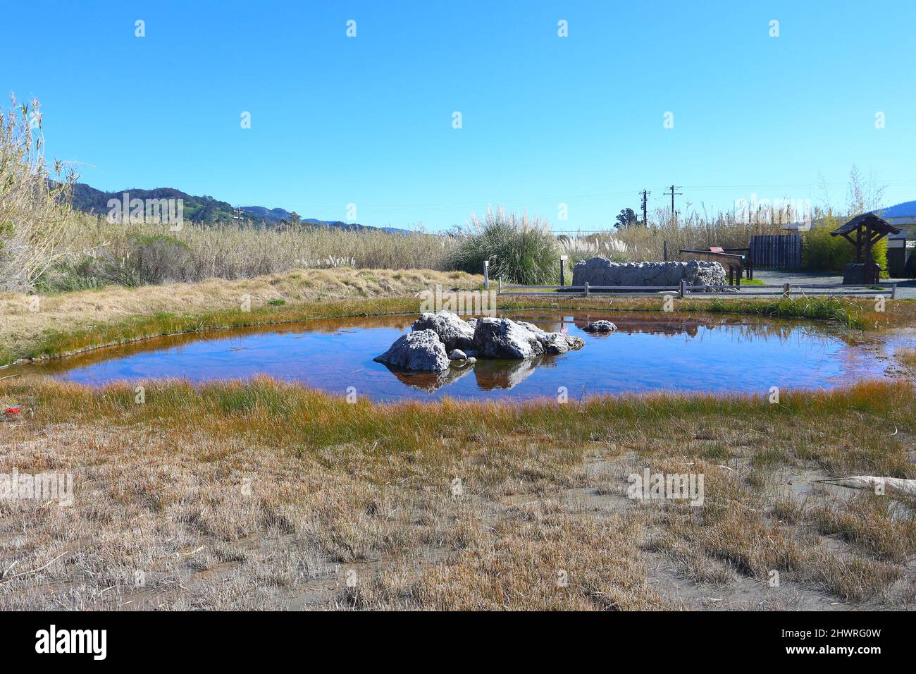 Old Faithful Geyser in Napa Valley, California Stock Photo - Alamy