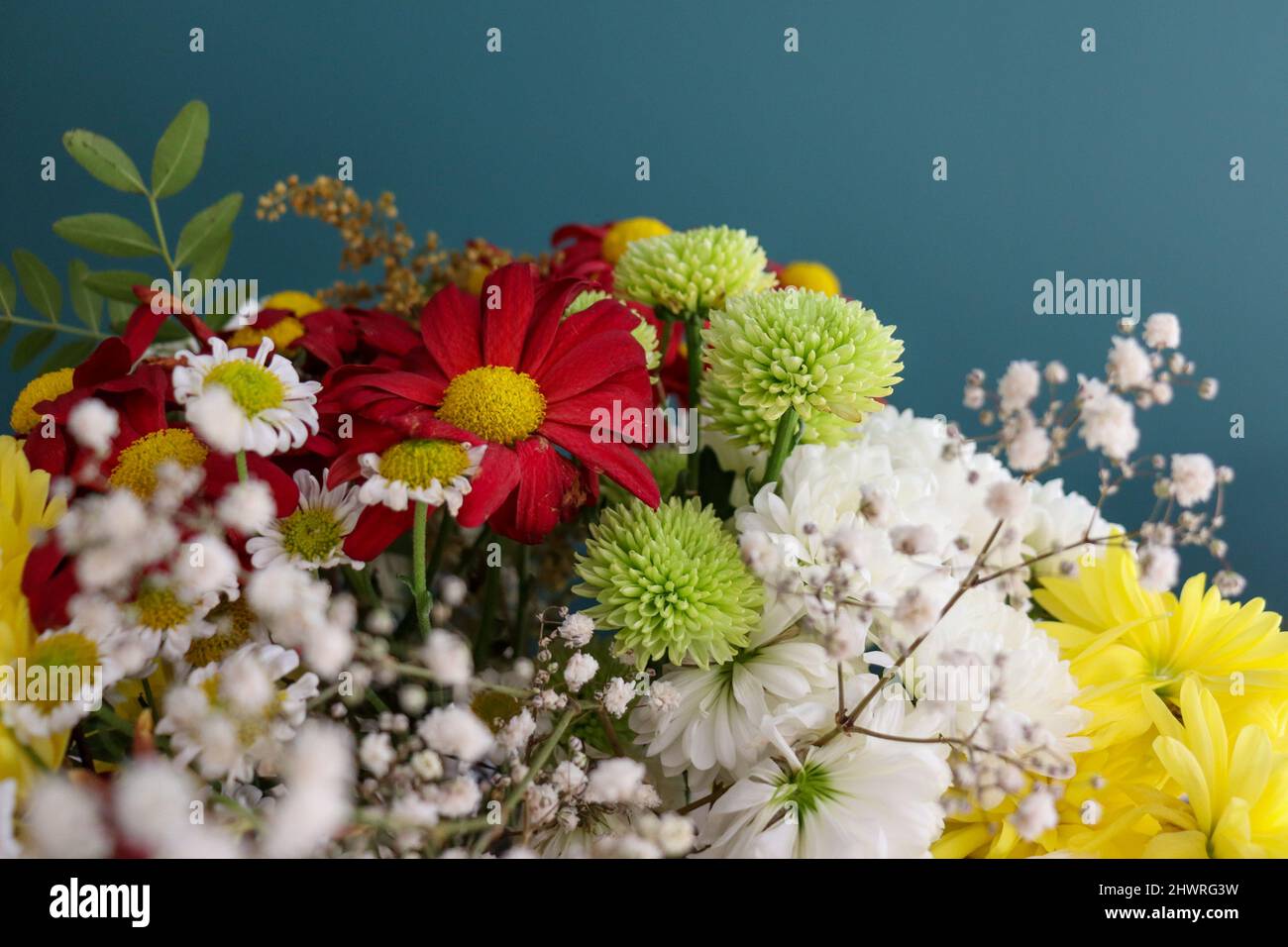 Strong colour contrast hi-res stock photography and images - Alamy