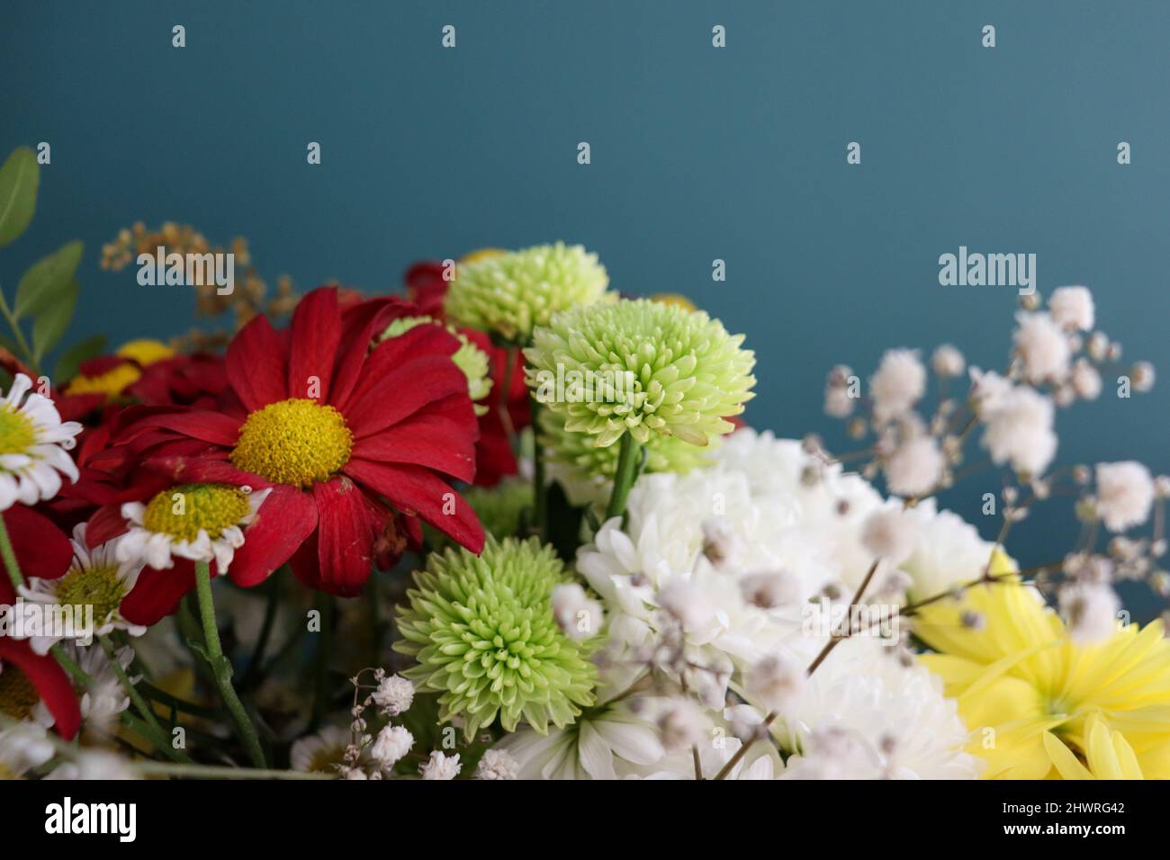 Leaf colours mixed hi-res stock photography and images - Alamy
