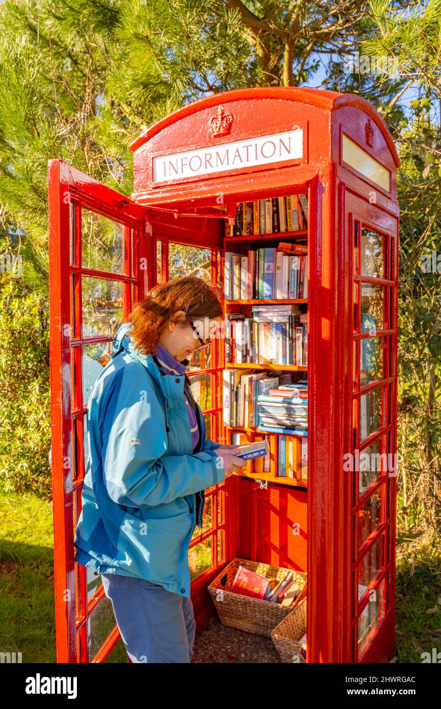 Looking at books in a repurposed phone box in Pleshey Essex Stock Photo ...
