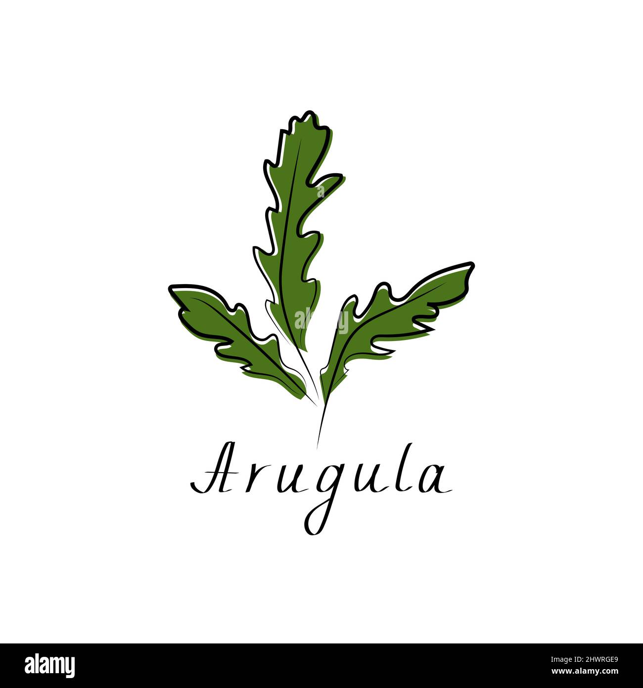 Arugula, rucola, rocket salad sign. Vegetable herb isolated icon for ...