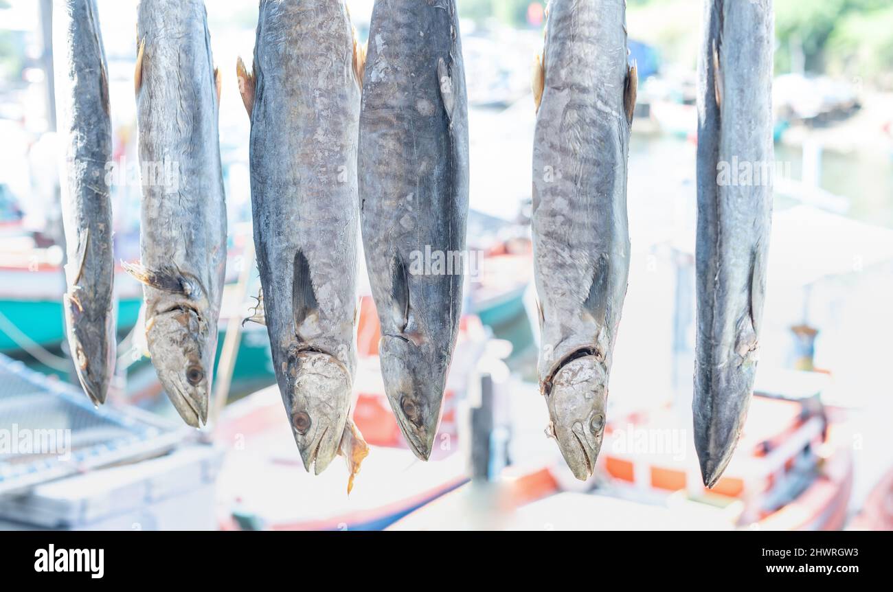 Dried salted fish hanging and preparing to sell at the seafood market ...