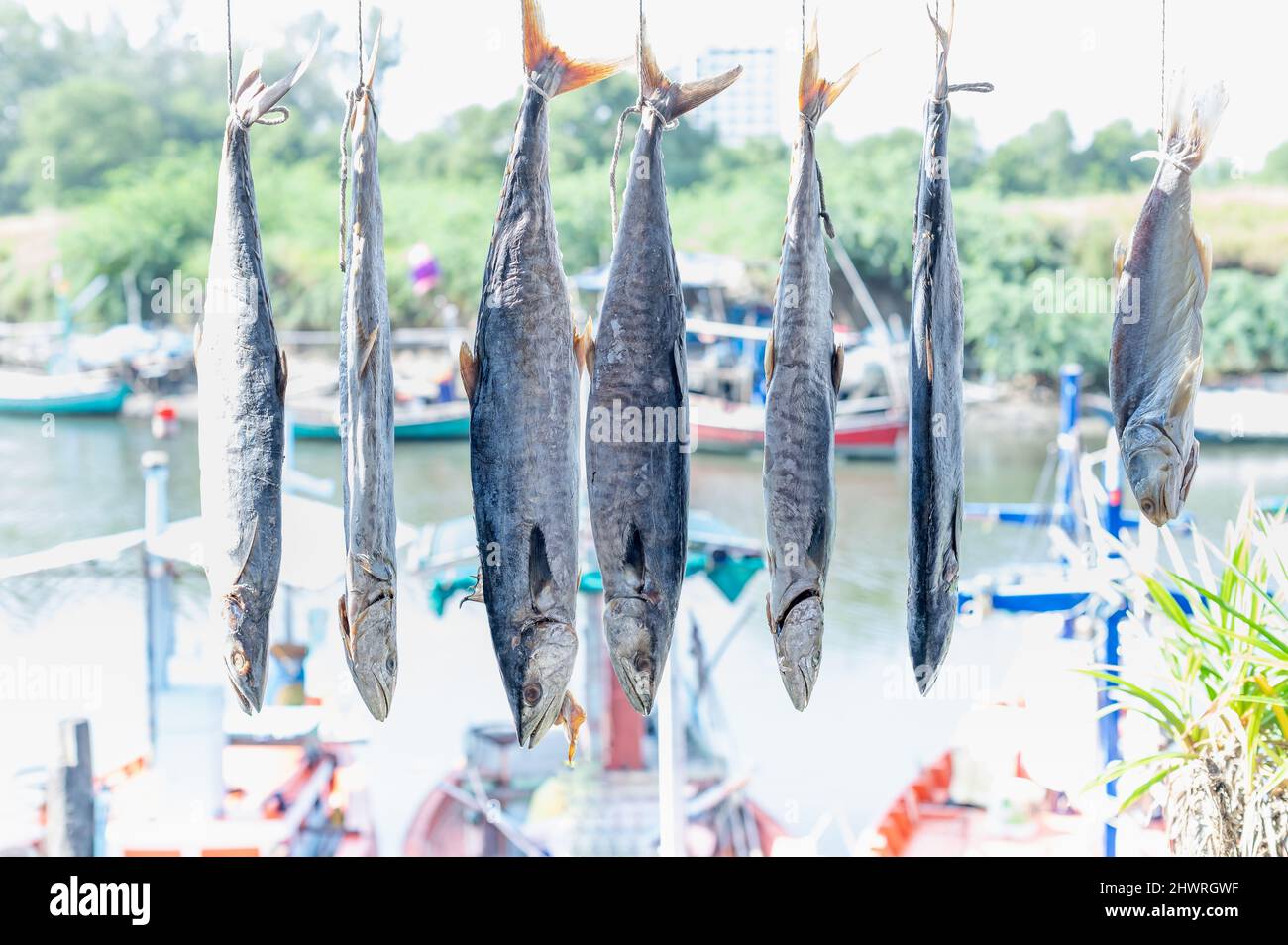 Dried salted fish hanging and preparing to sell at the seafood market ...