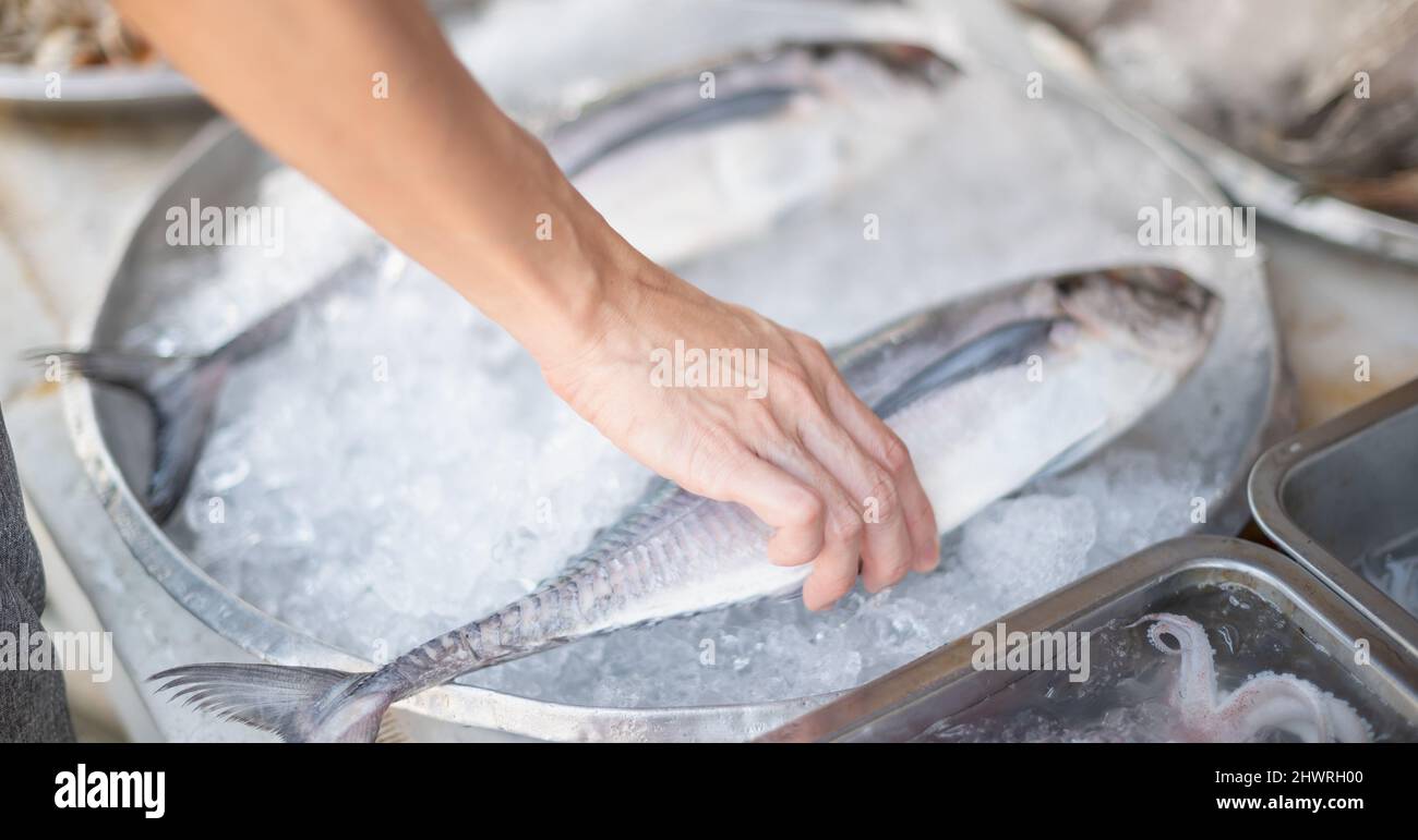Female Hand choosing sea fresh fish for cooking at the seafood market ...