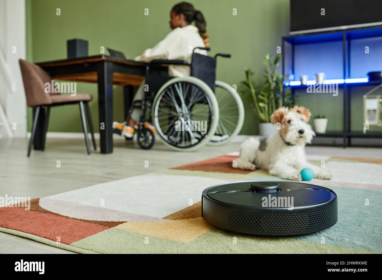 Close up of young African American woman using wheelchair while working ...