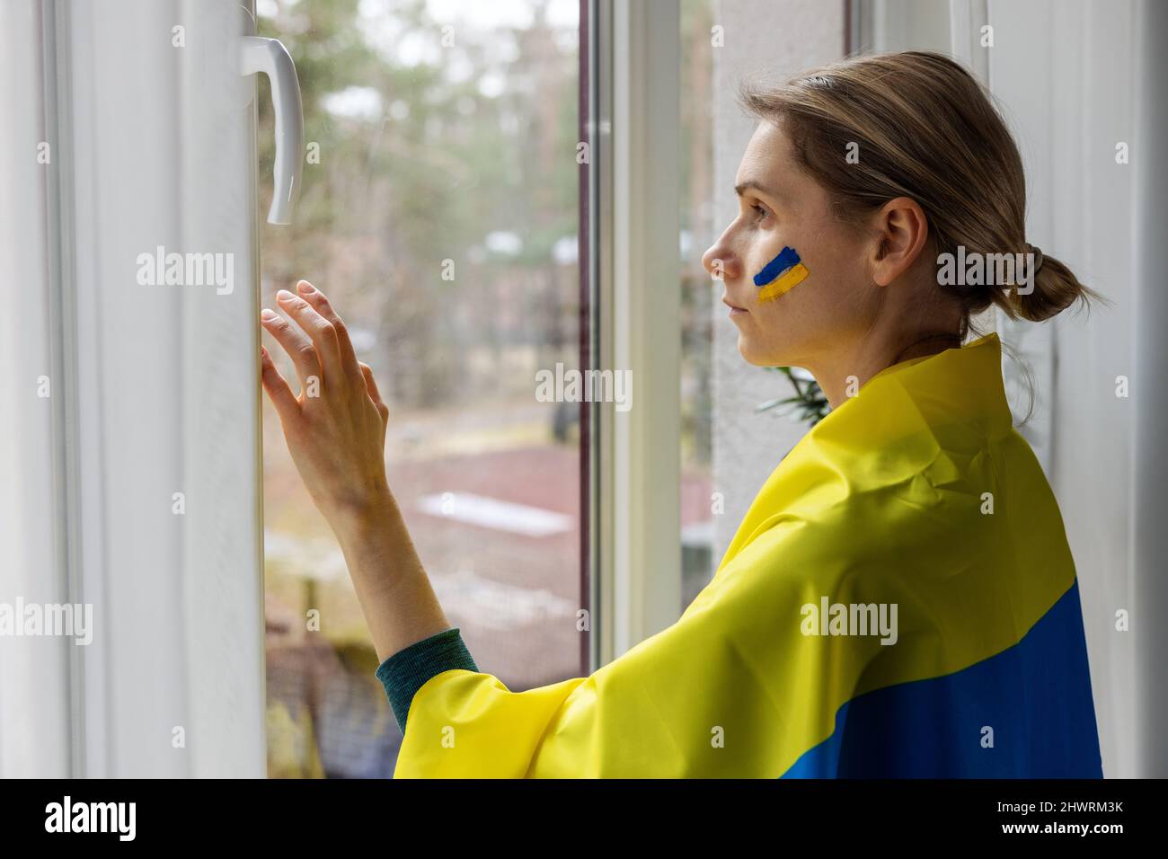 woman support ukraine. wrapped in a flag looking out of window at home ...