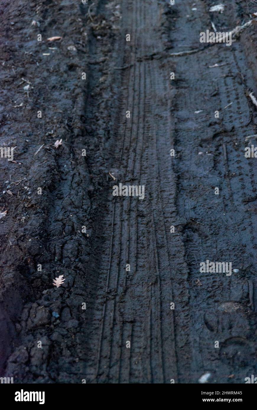 tire track in wet slippery mud vertical in autumn Stock Photo - Alamy
