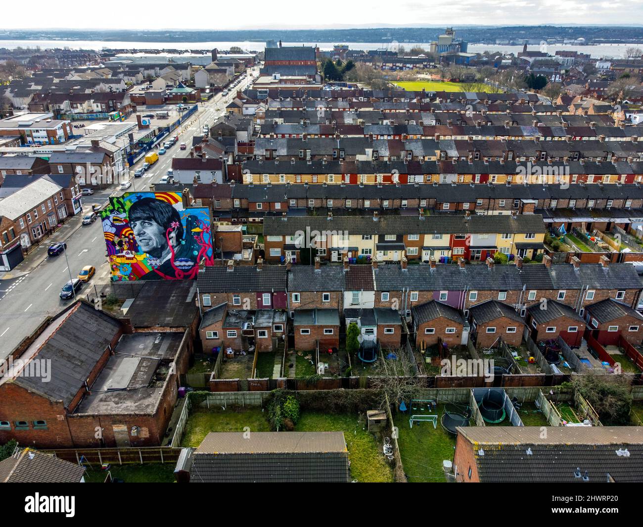 A mural of Ringo Starr, commissioned by Liverpool artist John Culshaw ...