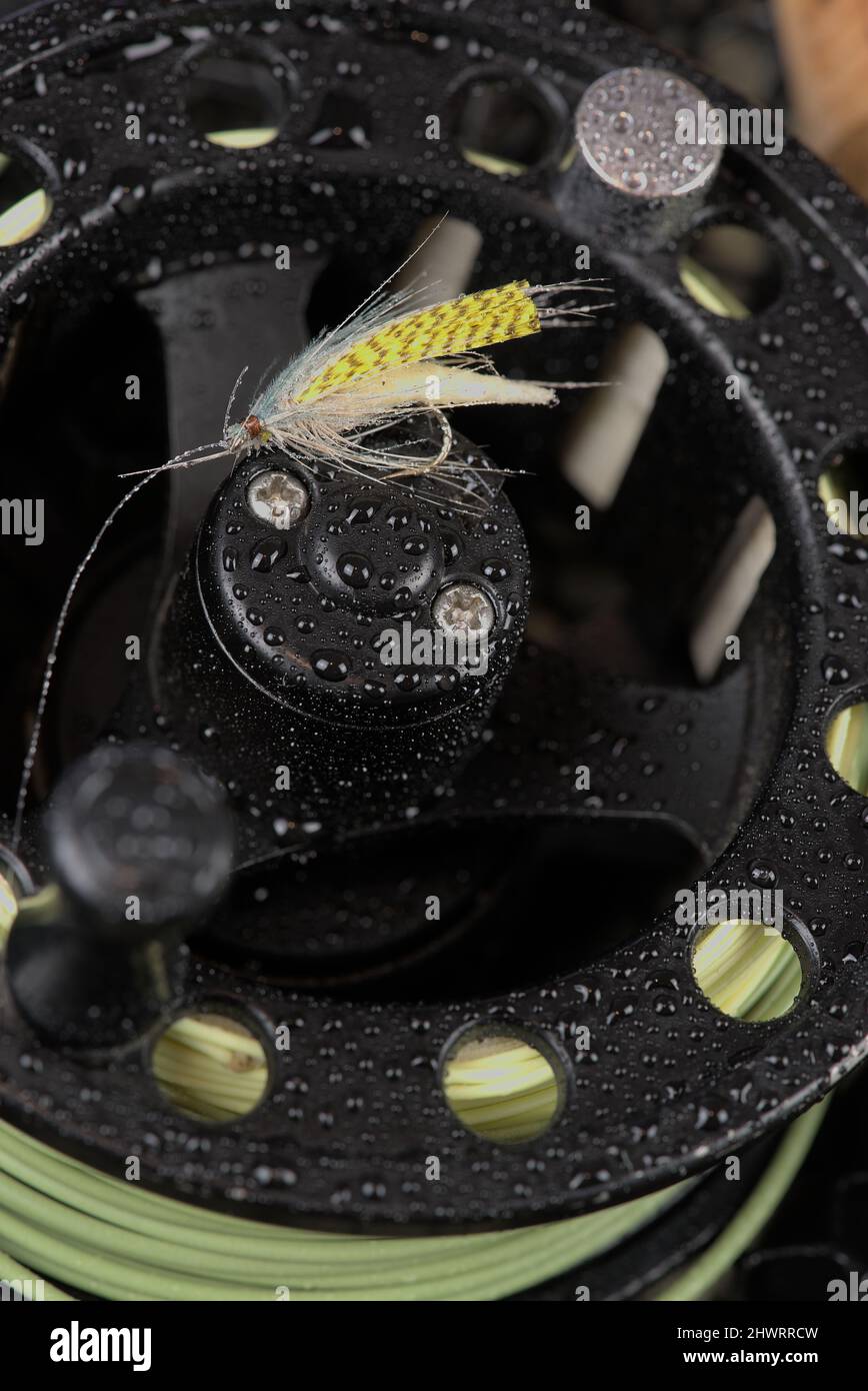 May fly fishing rod hi-res stock photography and images - Alamy