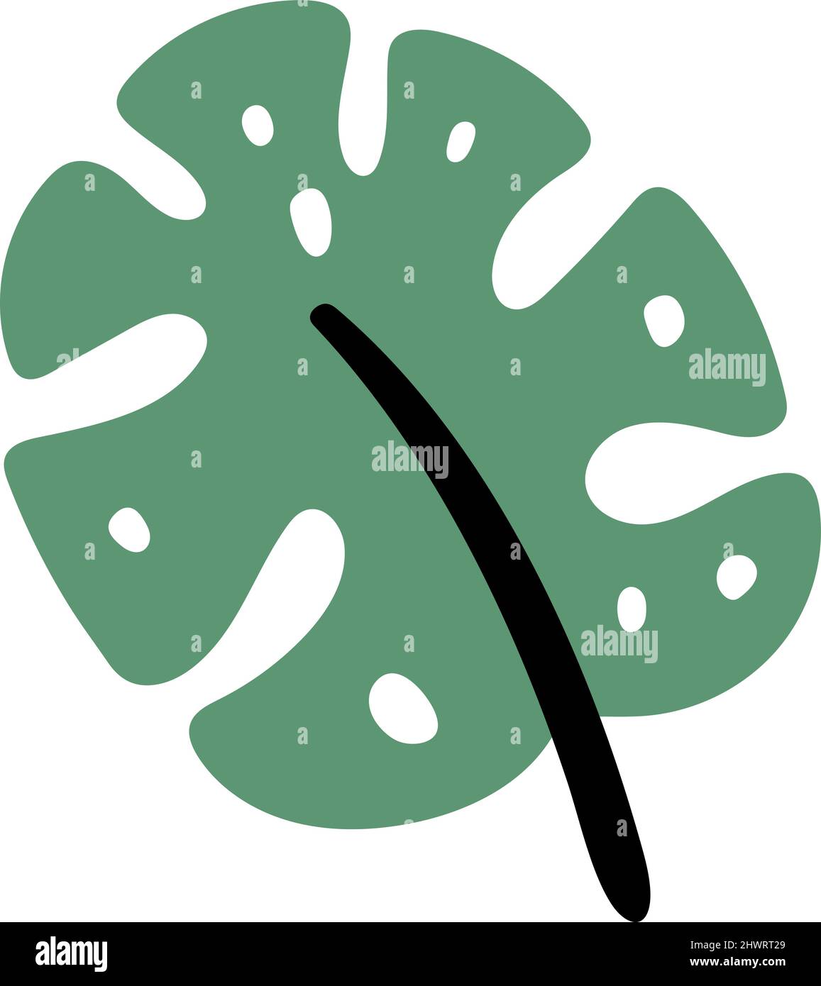 Tropical leaf icon. Cute monstera plant foliage Stock Vector Image ...