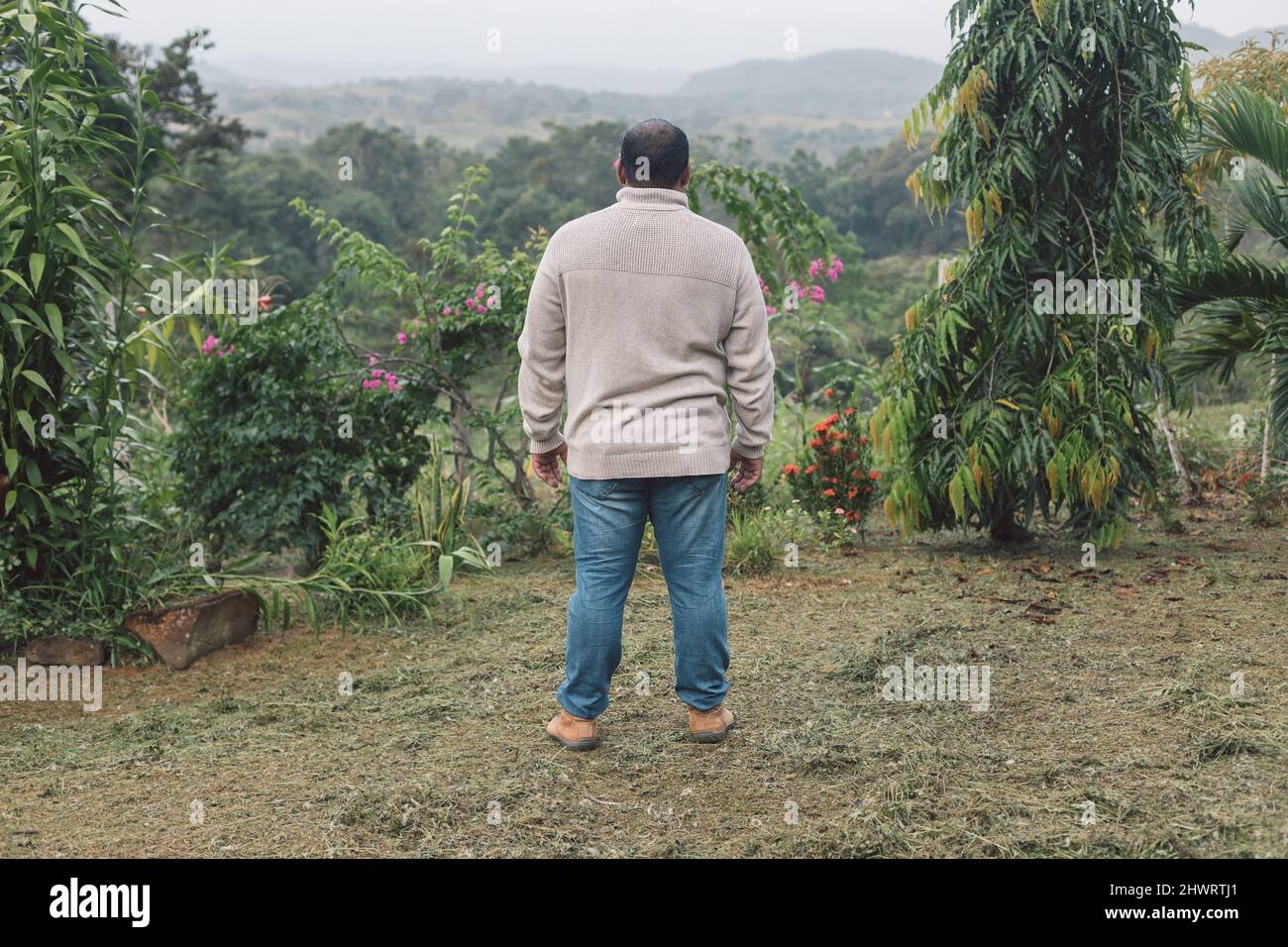Man looking at nature hi-res stock photography and images - Alamy