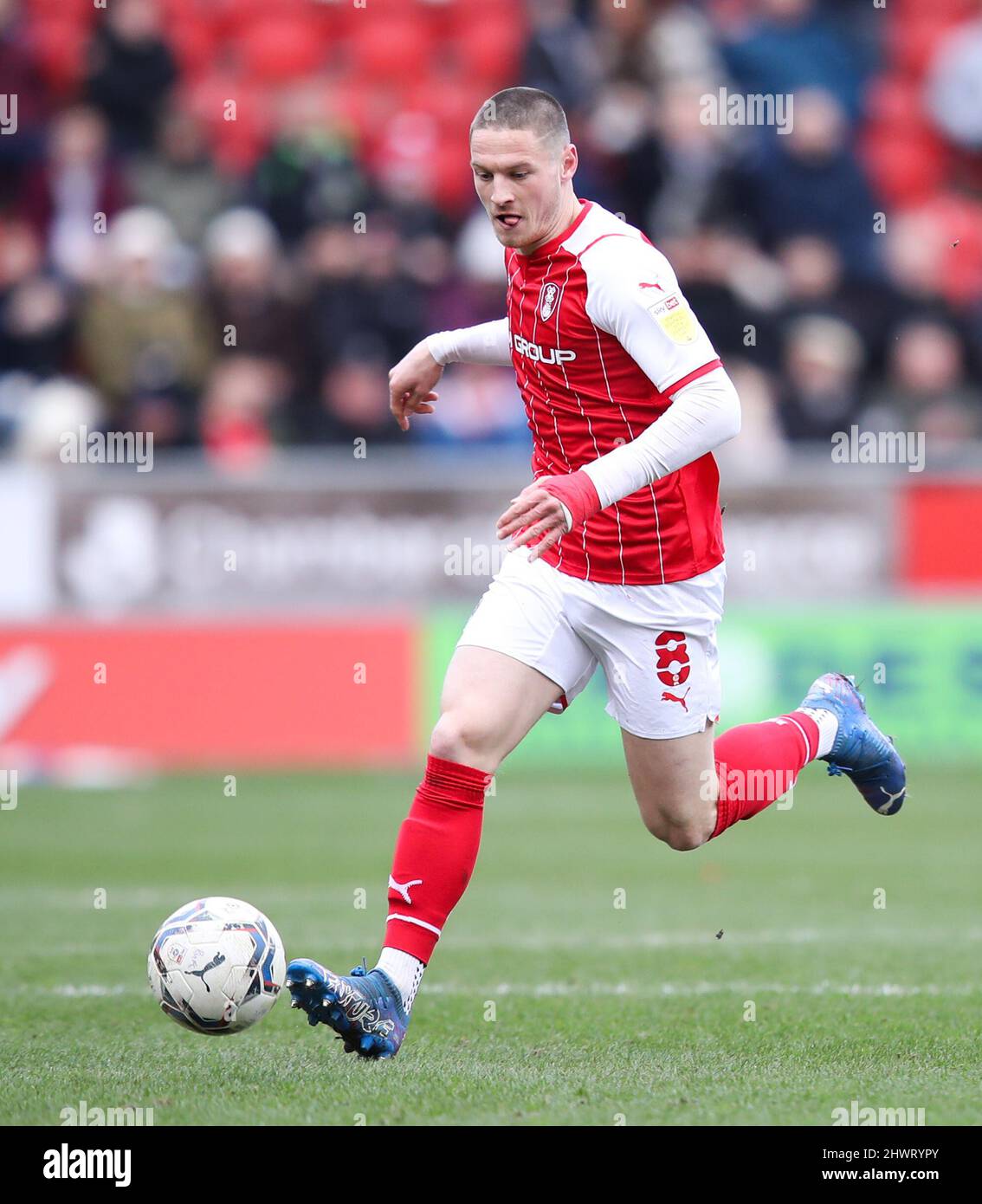 Ben wiles hi-res stock photography and images - Alamy