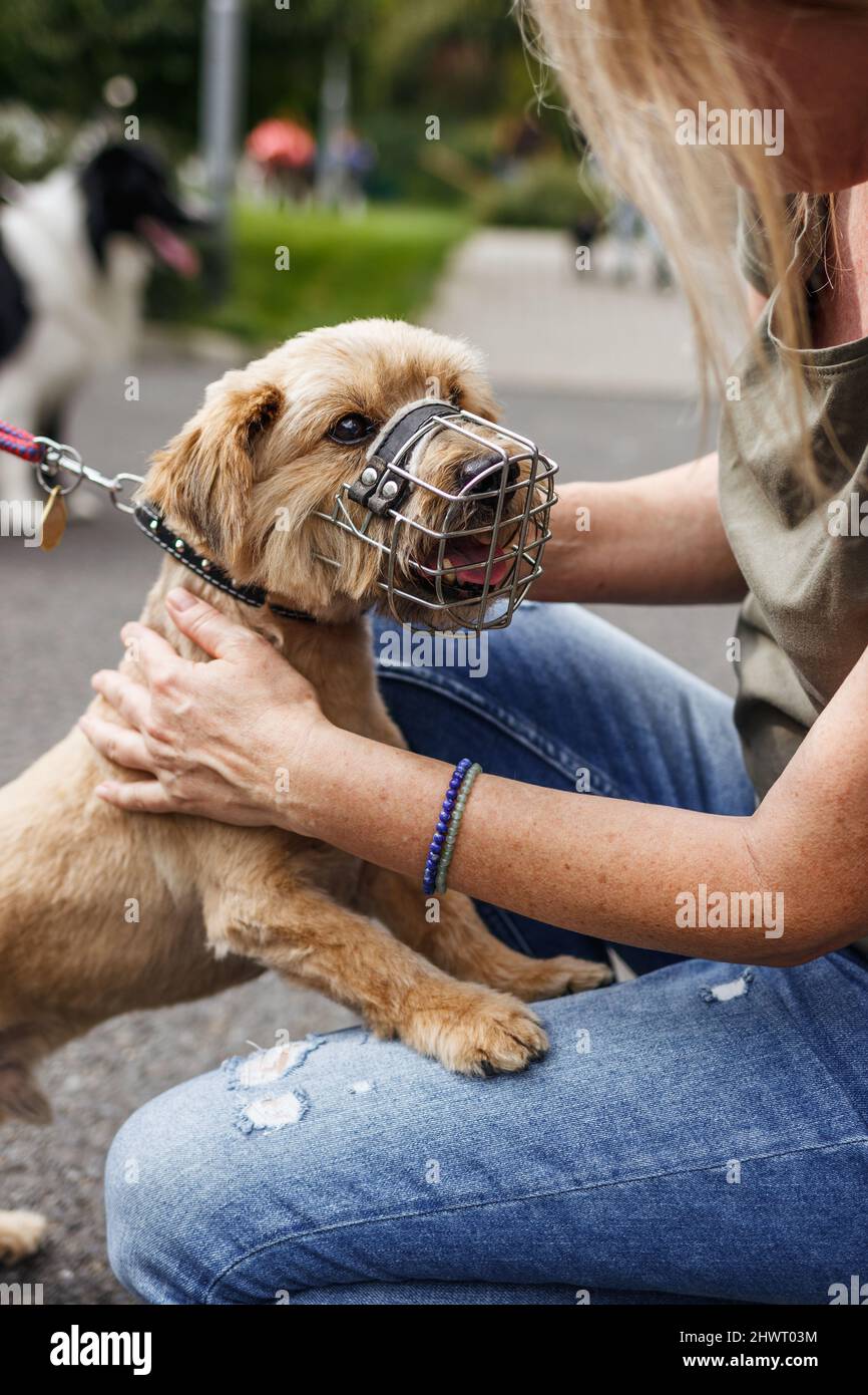 Restraint muzzle hi-res stock photography and images - Alamy