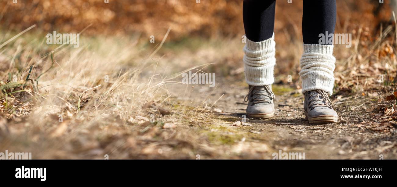 Panoramic view of female legs walking on footpath in forest. Woman ...