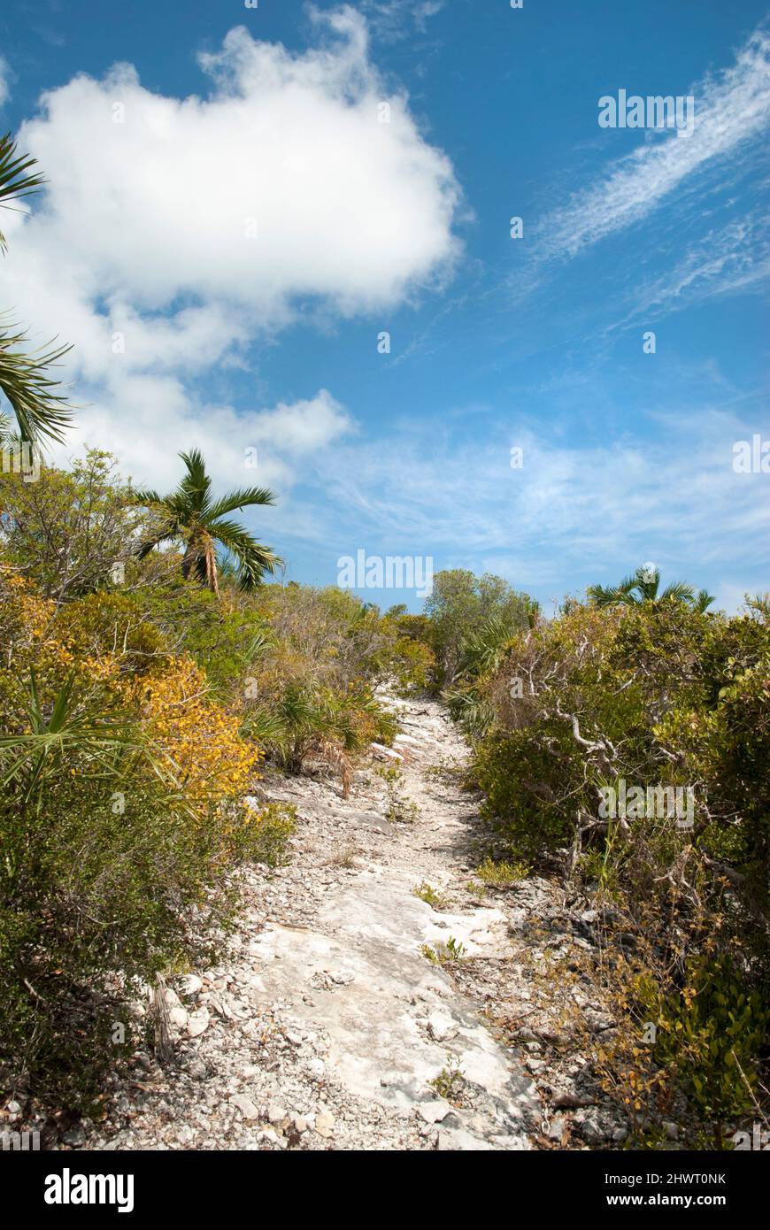 The path stretching through hills on uninhabited Half Moon Cay island ...