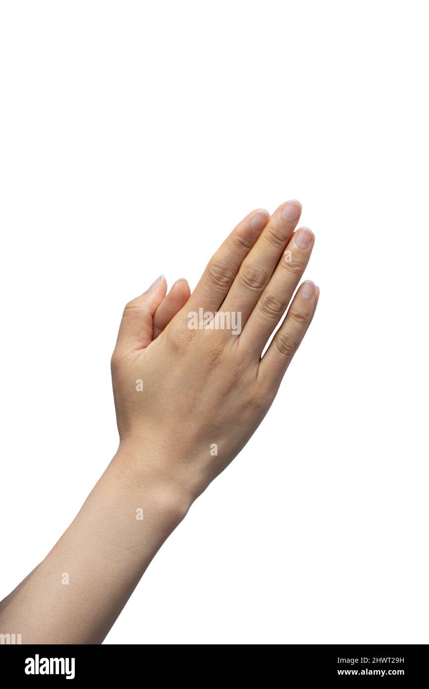 gestures with hands on a white background Stock Photo - Alamy