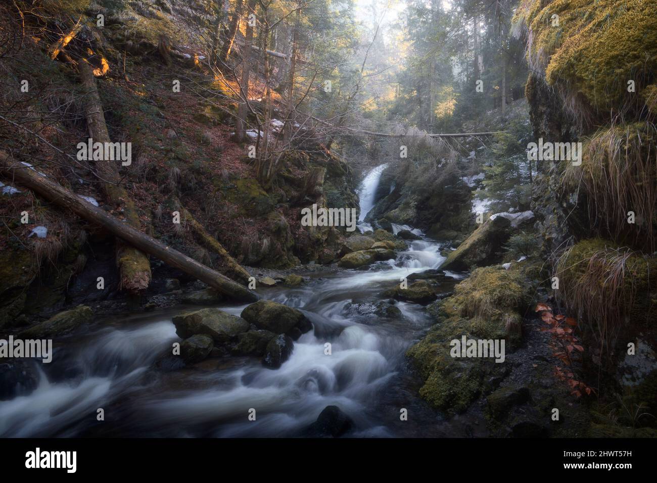 cascade in the Ravennaschlucht in autumn Stock Photo - Alamy