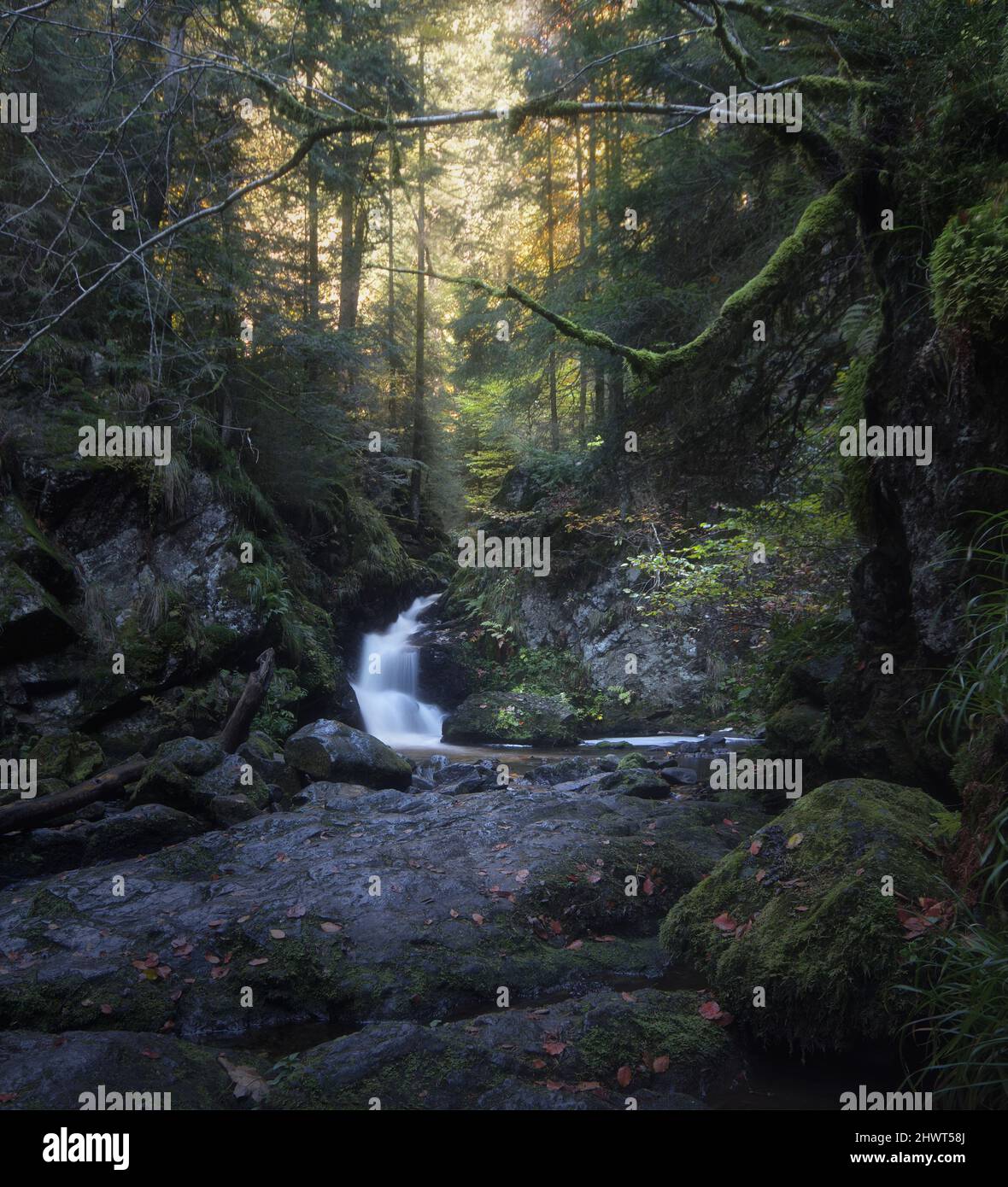 Ravennaschlucht hi-res stock photography and images - Alamy