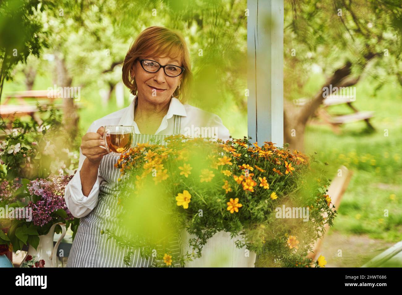 Bespectacled lady hi-res stock photography and images - Alamy