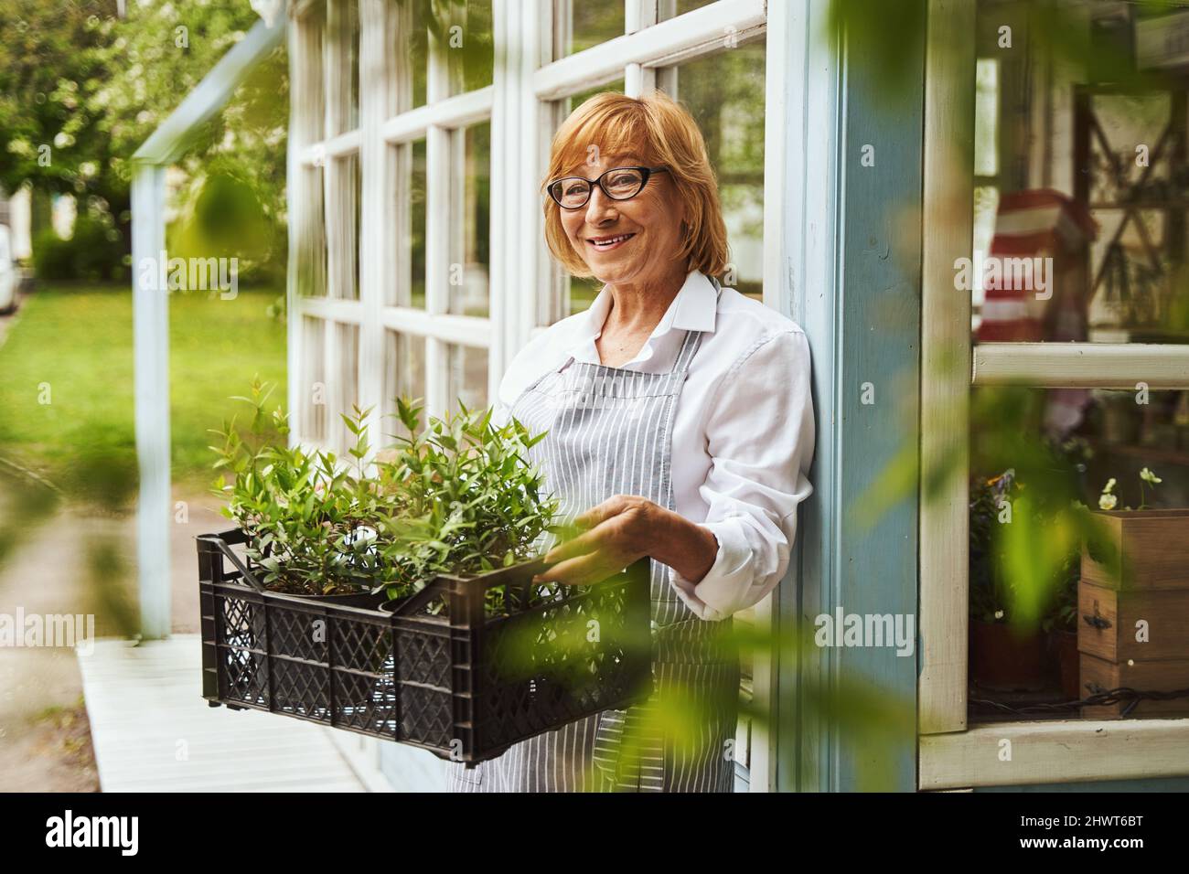 Jolly mature lady enjoying working with plants Stock Photo - Alamy