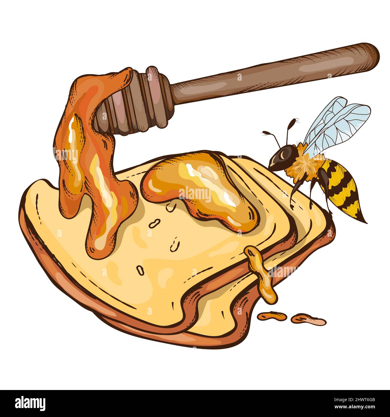 Bread with honey and bee, hand drawn vector illustration for honey ...