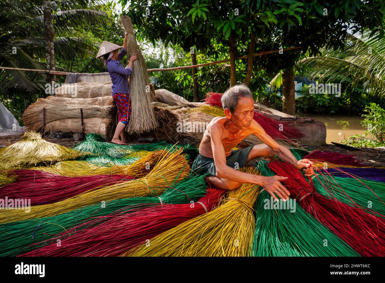 Vietnamese old man craftsman drying traditional vietnam mats in the old ...