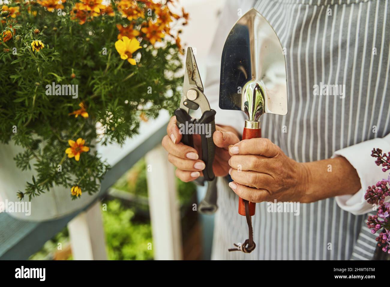 Mature lady with garden instruments on terrace Stock Photo - Alamy