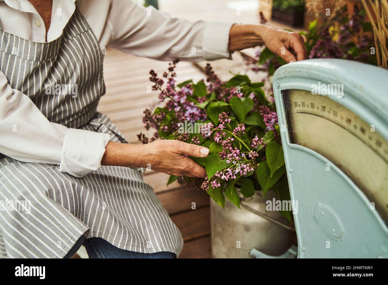 Housewife taking care of flowers in countryside Stock Photo - Alamy