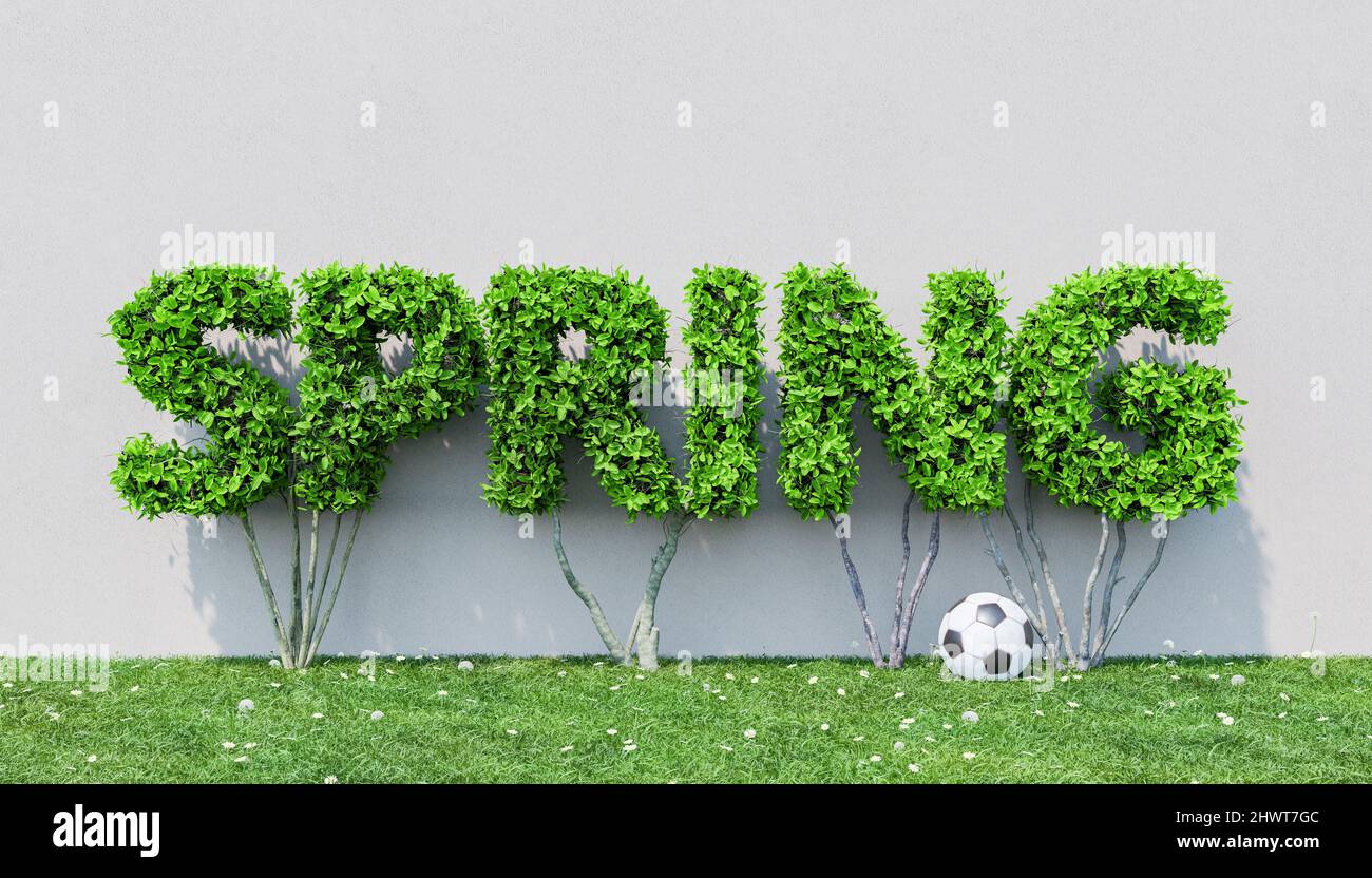 bushes sign with the word SPRING on grass and flowers with soccer ball ...