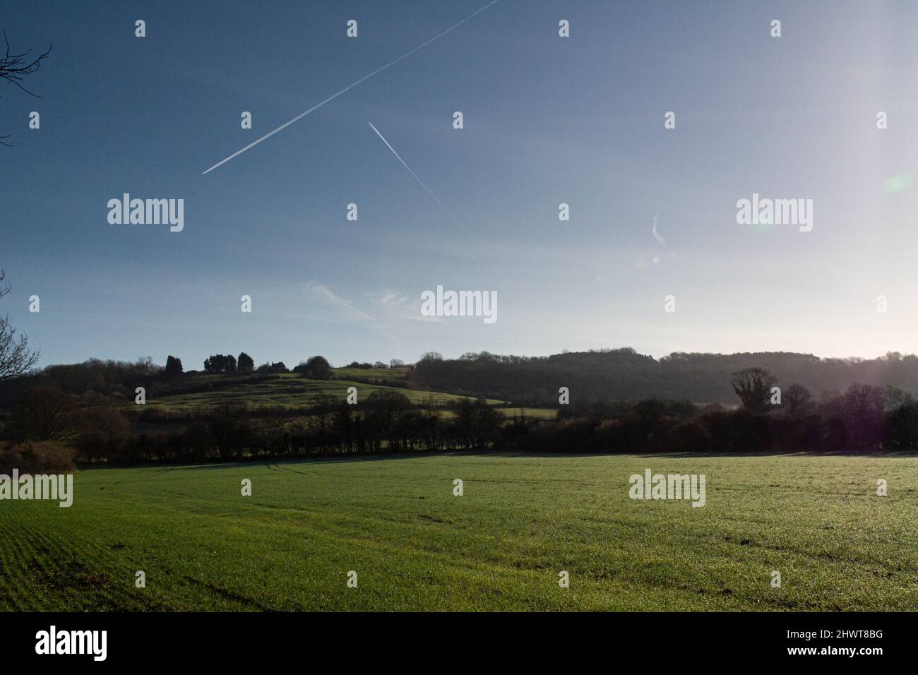 Pewsham hi-res stock photography and images - Alamy