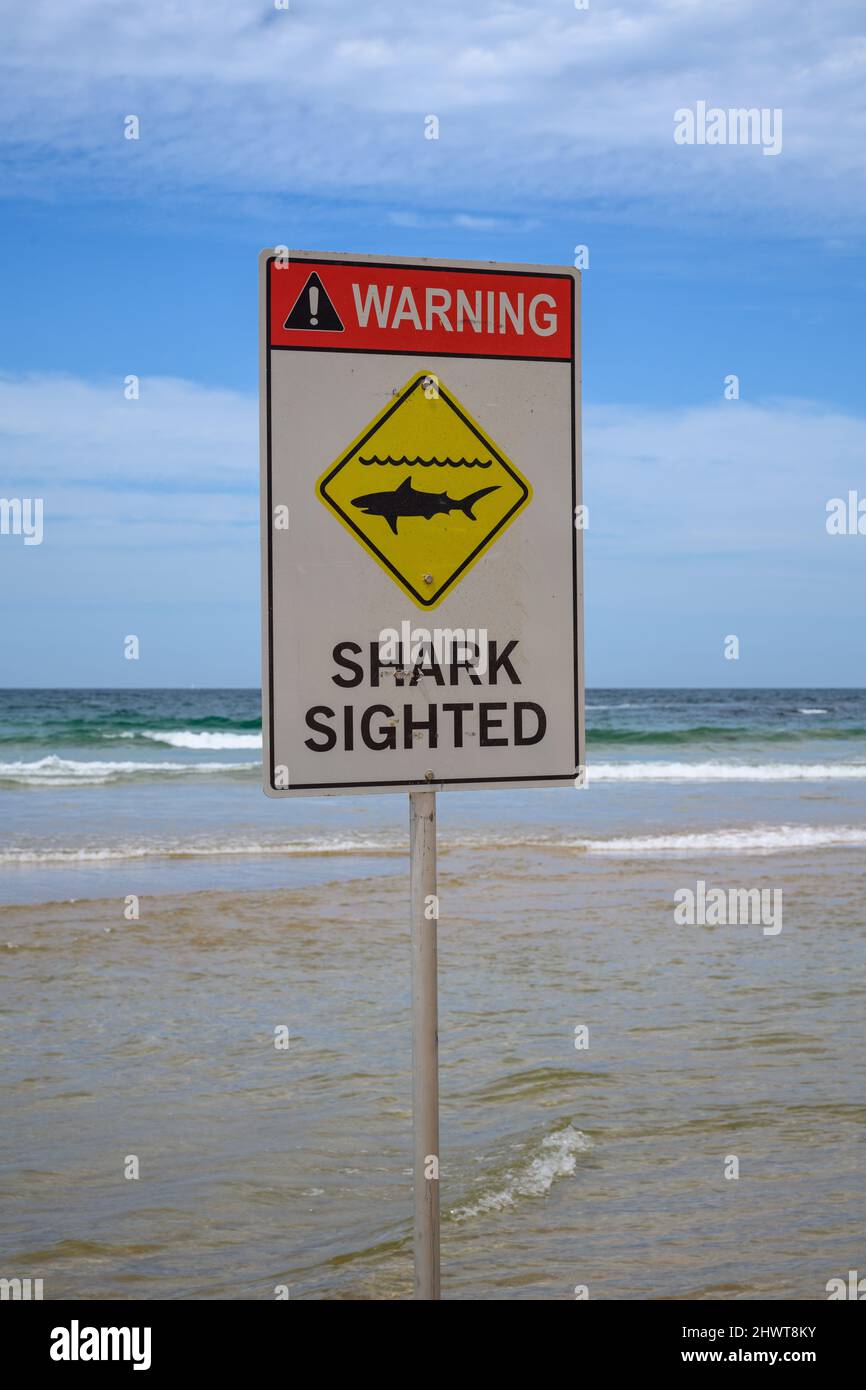 Sharks warning sign on a beach Stock Photo - Alamy