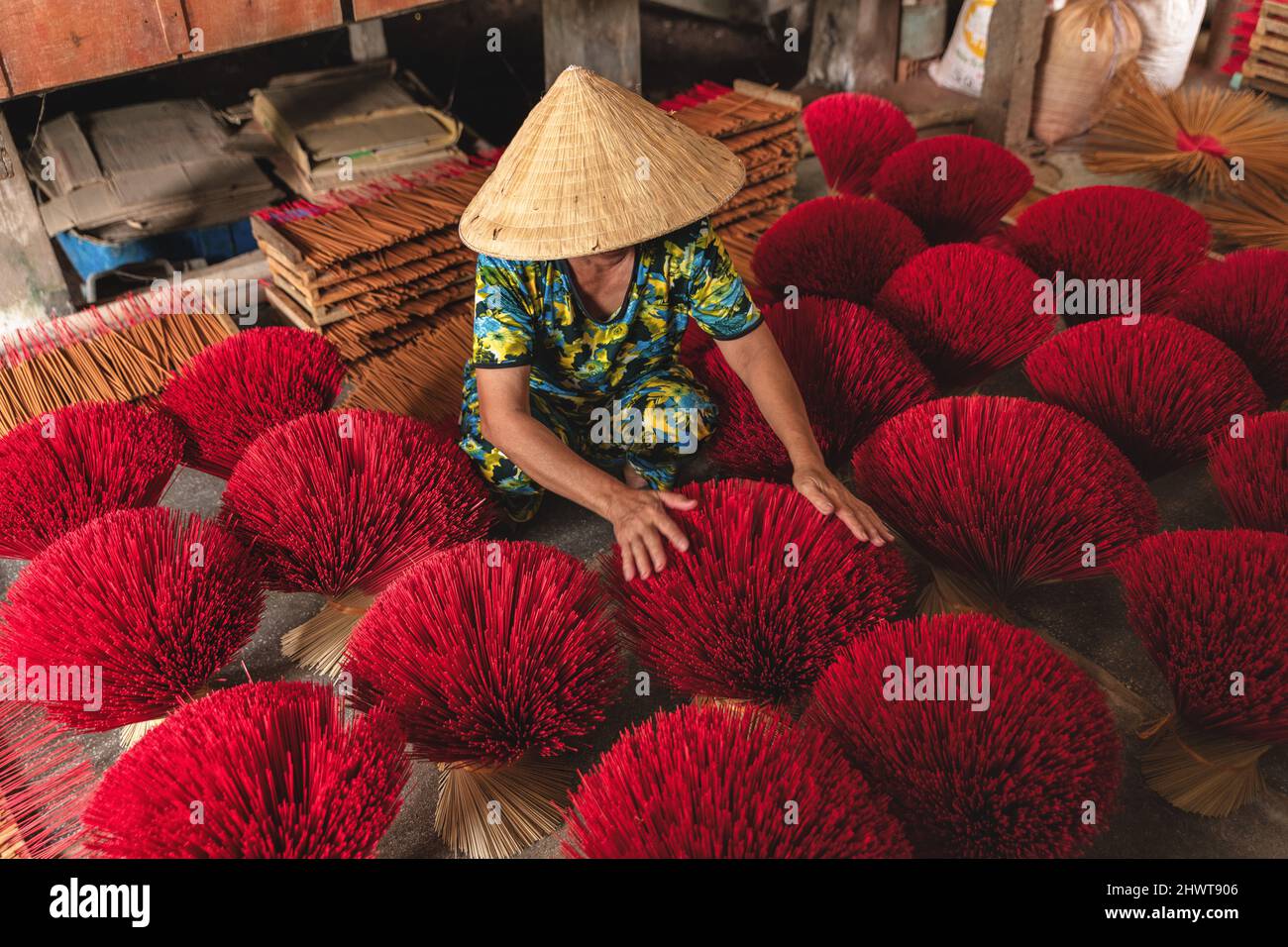 Incense sticks drying outdoor with Vietnamese woman wearing conical hat ...