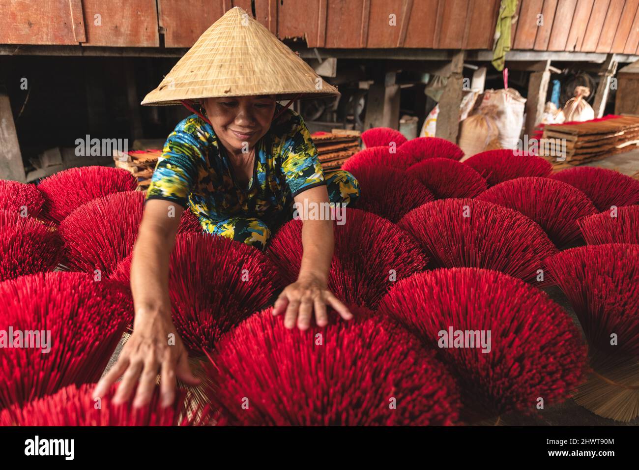 Incense sticks drying outdoor with Vietnamese woman wearing conical hat ...