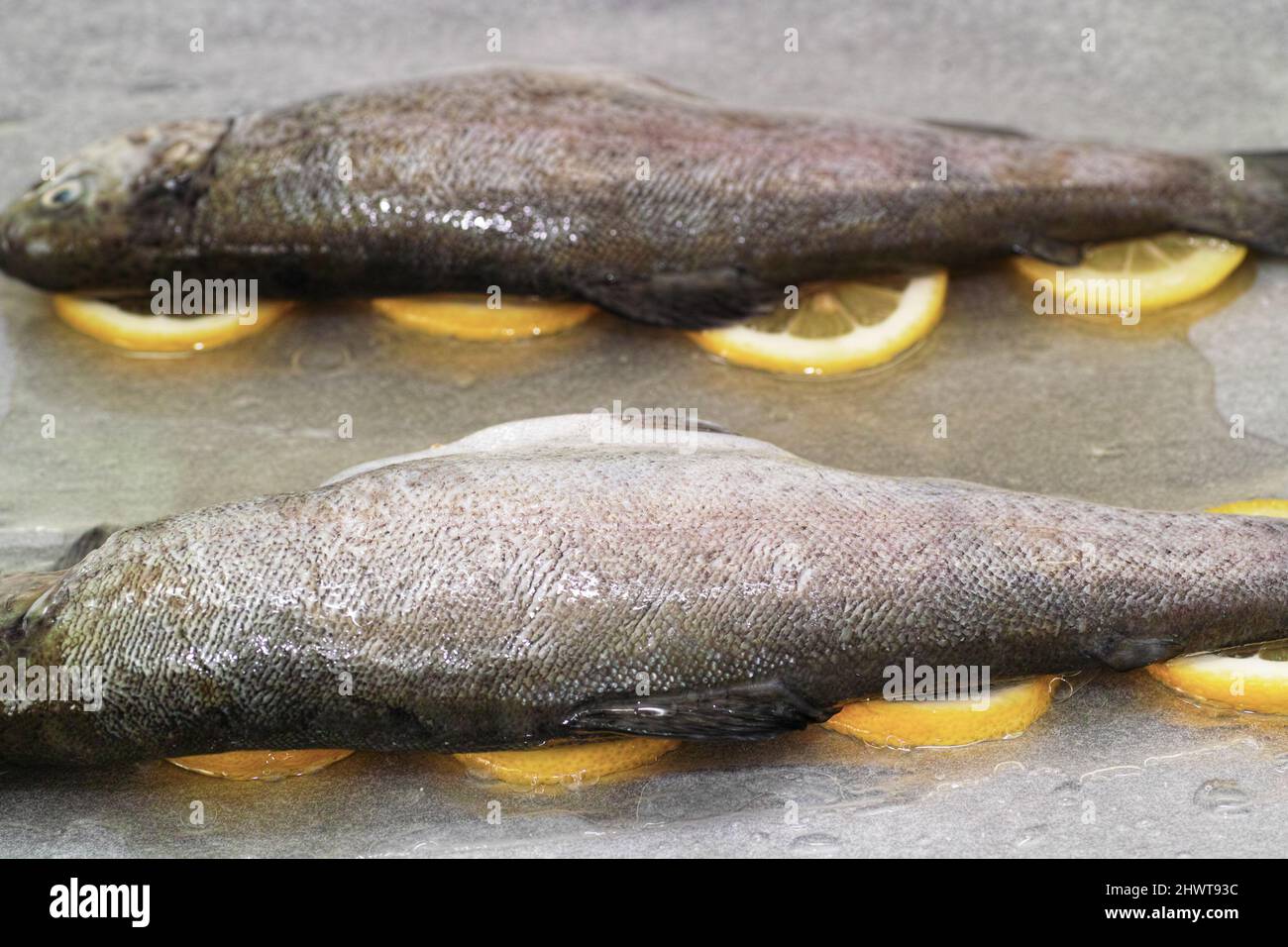 Trout. In Polish cuisine, on the Polish table. Trout from family fish ...