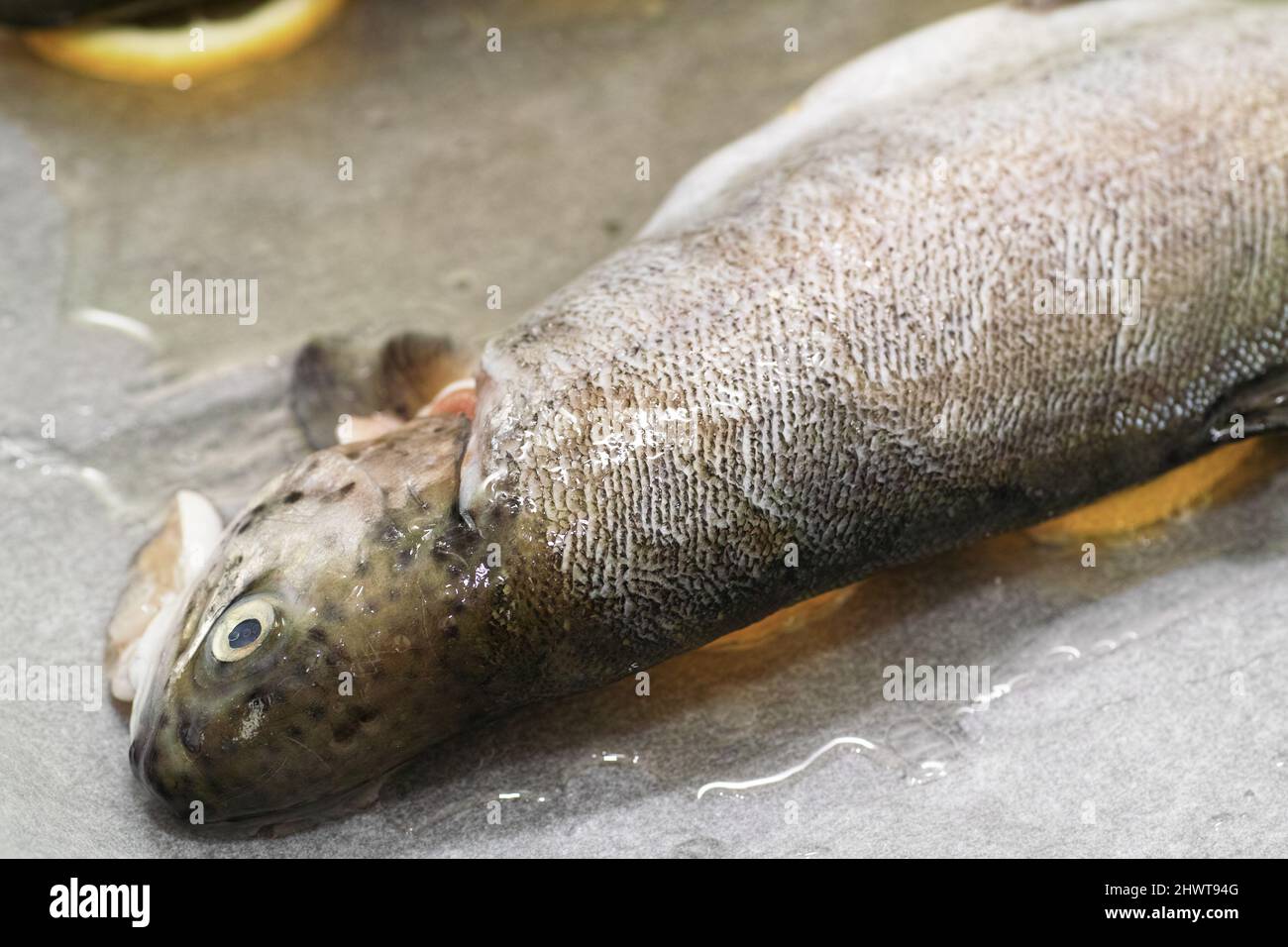 Trout. In Polish cuisine, on the Polish table. Trout from family fish ...