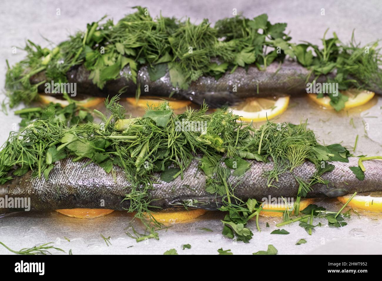 Trout. In Polish cuisine, on the Polish table. Trout from family fish ...