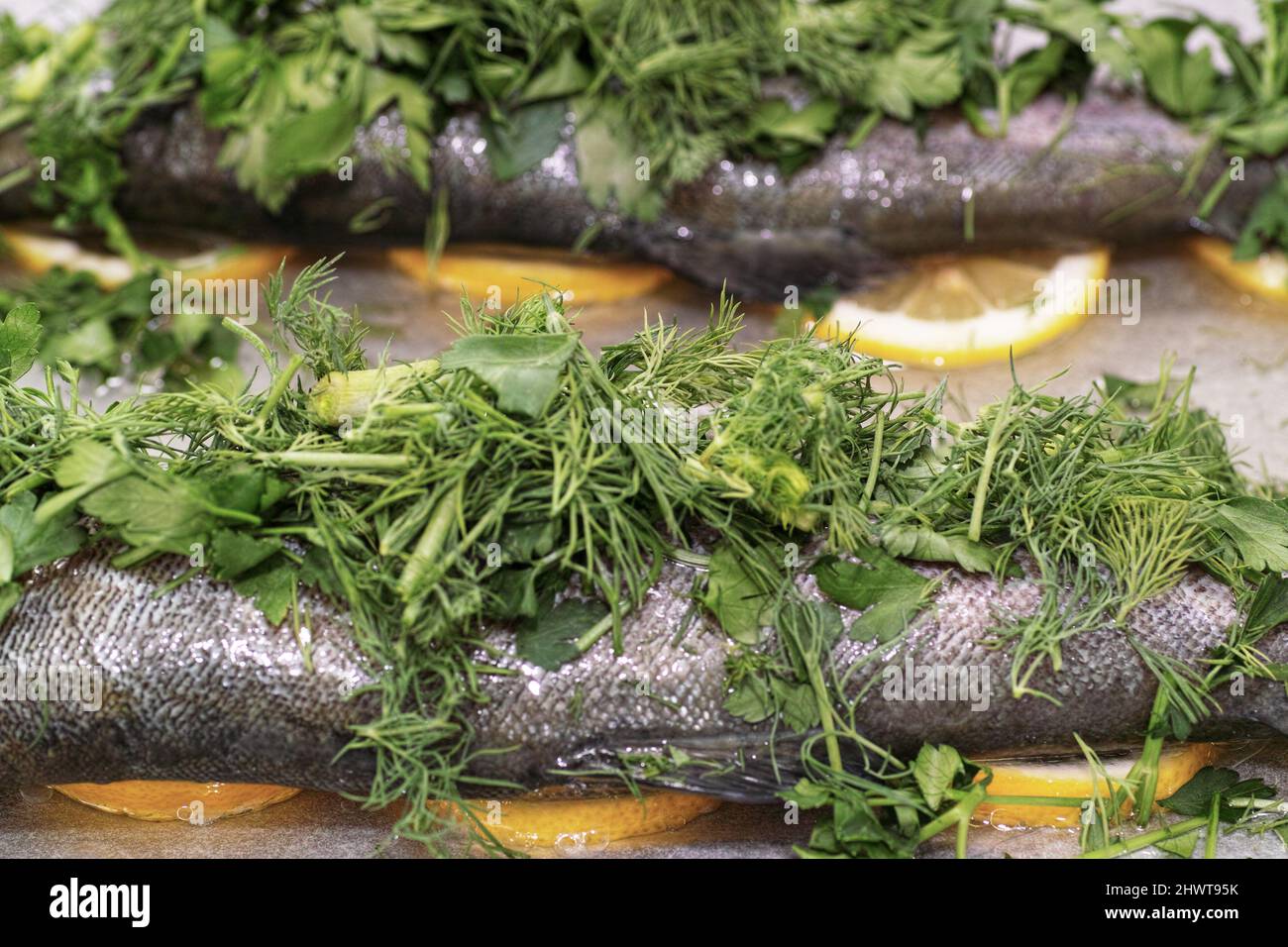 Trout. In Polish cuisine, on the Polish table. Trout from family fish ...