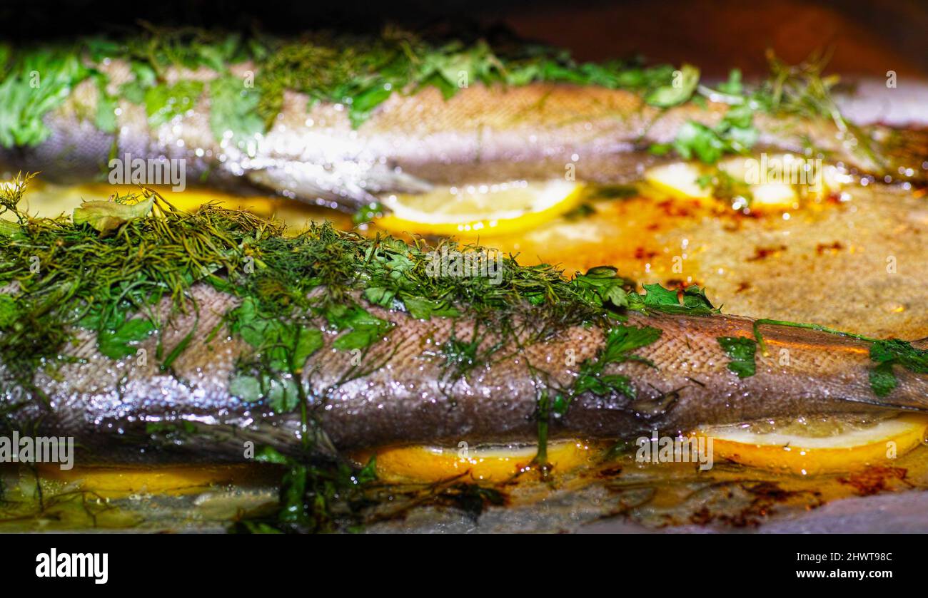 Trout. In Polish cuisine, on the Polish table. Trout from family fish ...