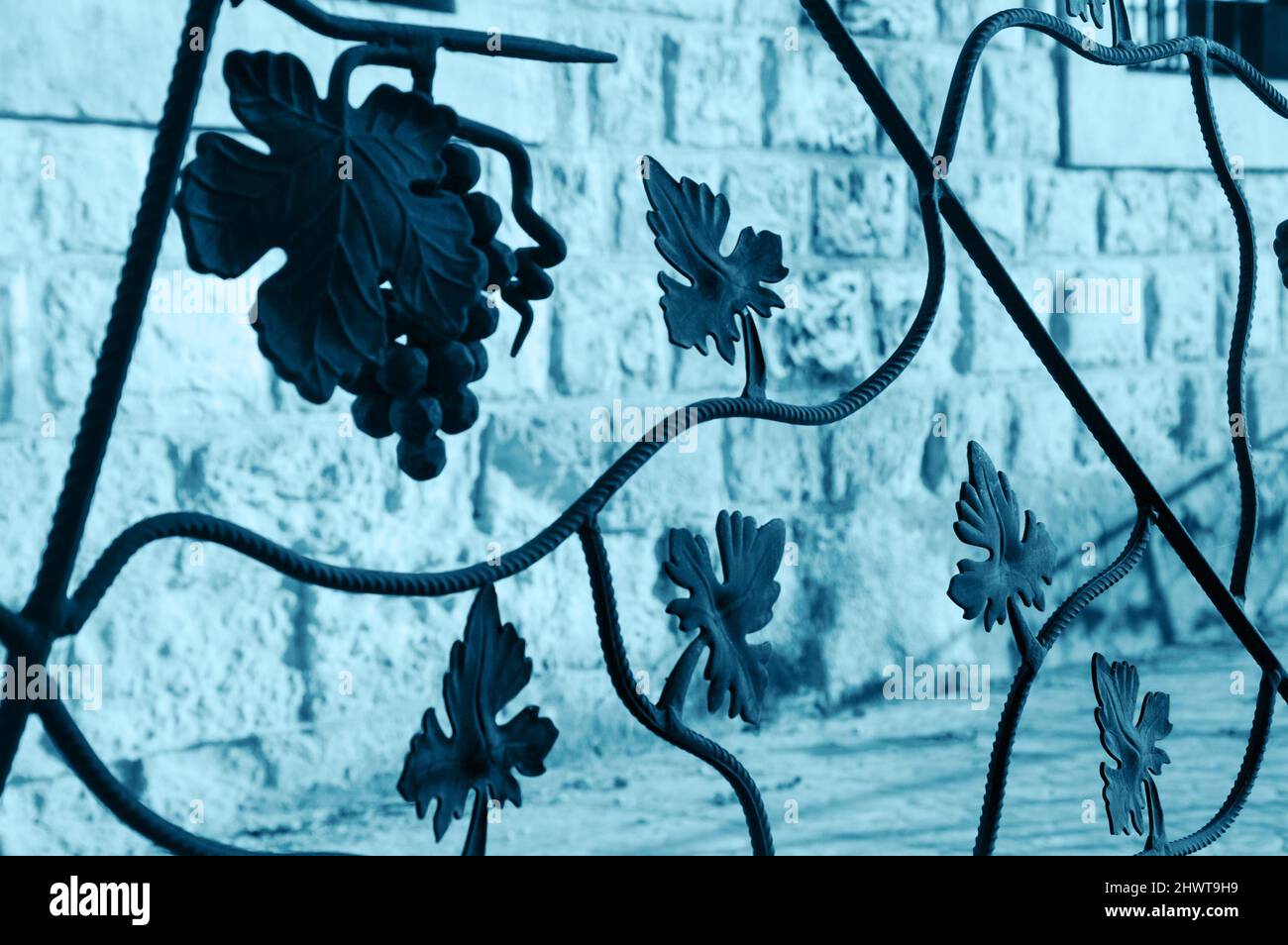 Forging railing with vine branches. Architectural detail. Toned photo ...