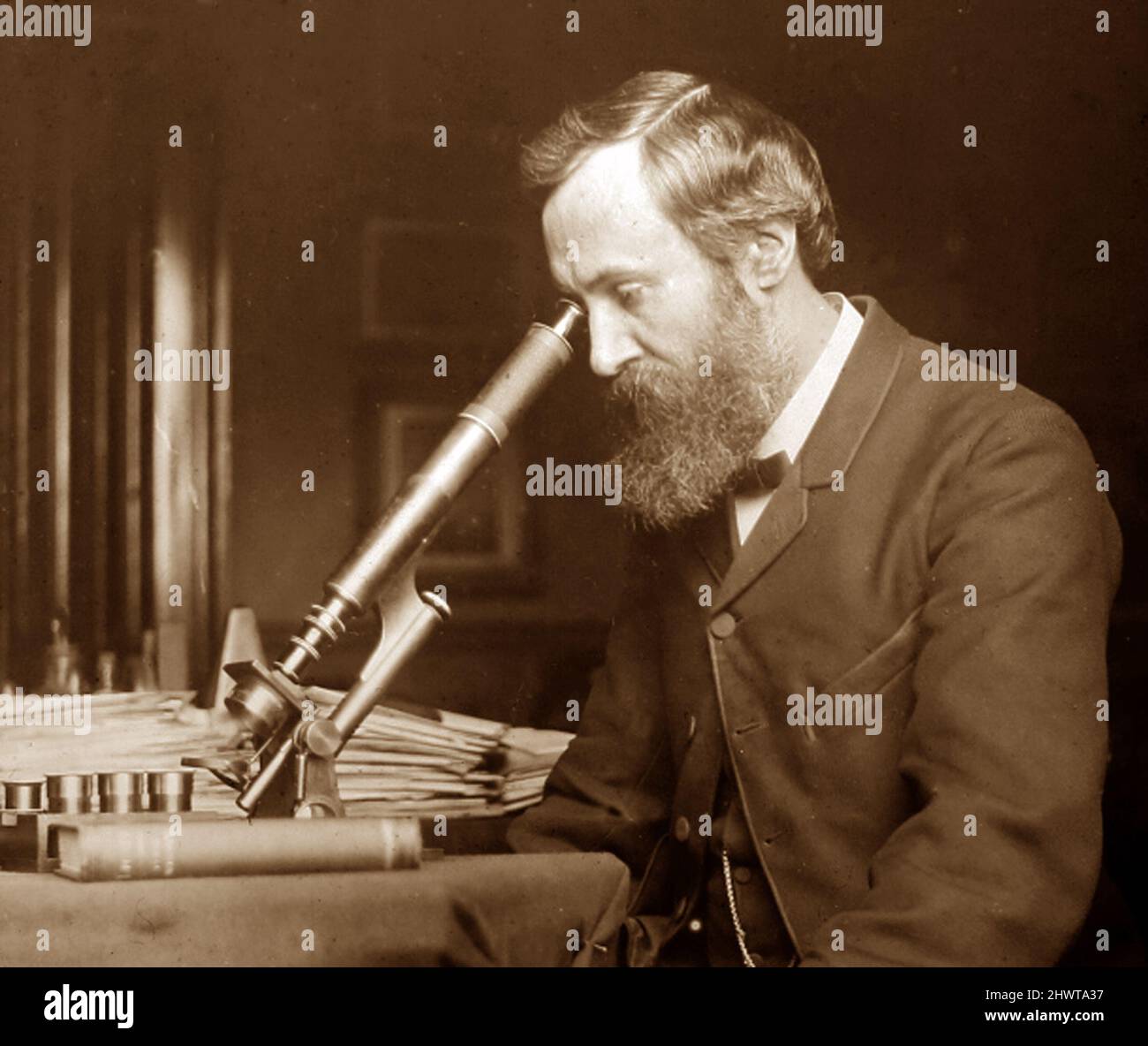 Victorian inventor hi-res stock photography and images - Alamy