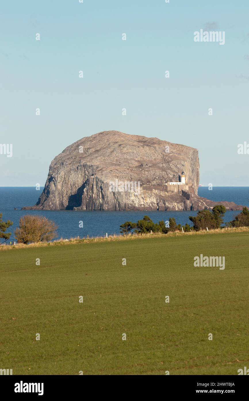 Bass Rock East Lothian ,Scotland Stock Photo - Alamy