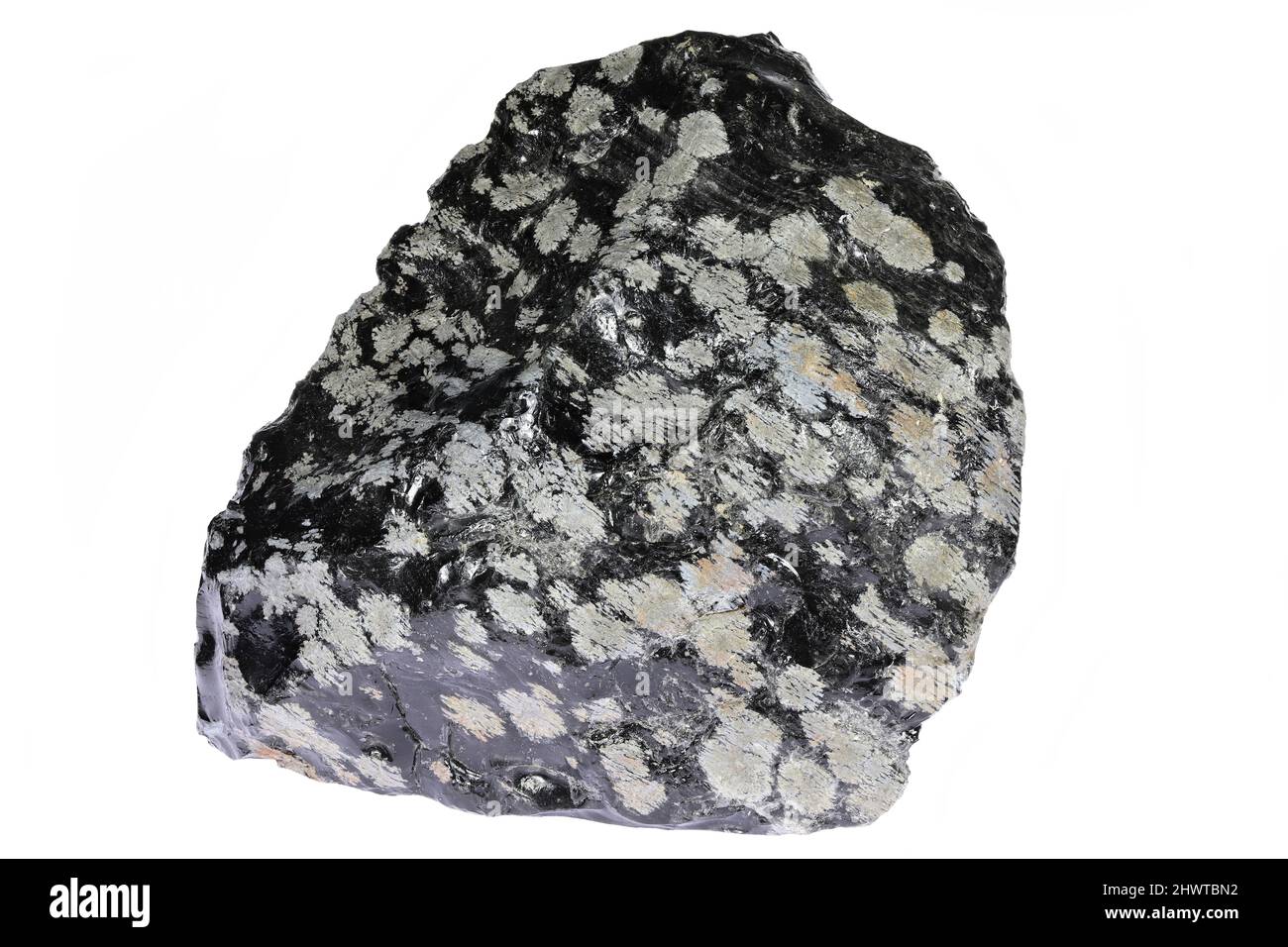 snowflake obsidian from Mexico isolated on white background Stock Photo ...