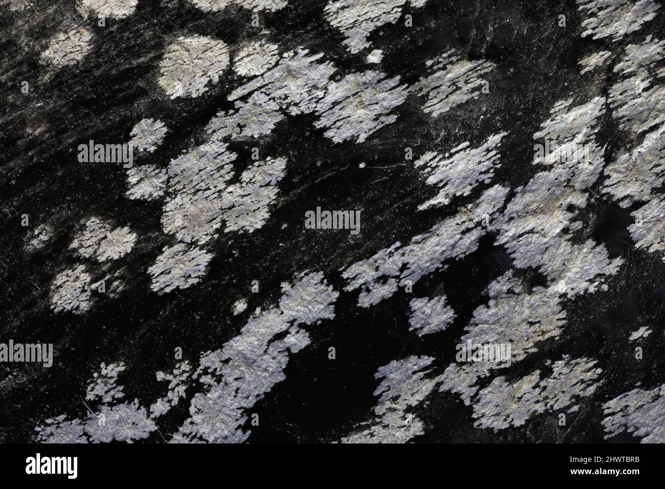 snowflake obsidian from Mexico for background use Stock Photo - Alamy