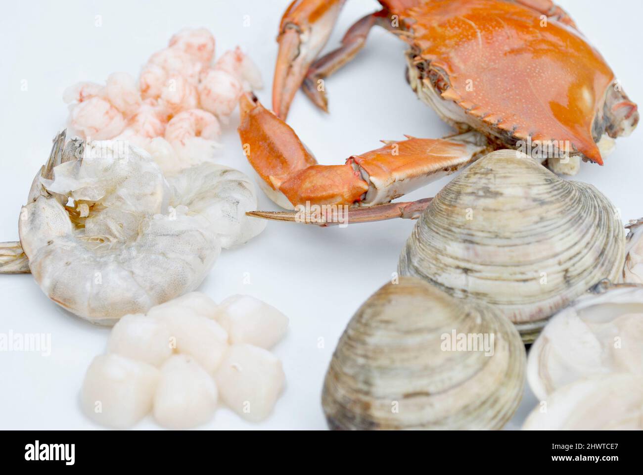 Fresh Seafood Ingredients Isolated Over a White Background Stock Photo ...