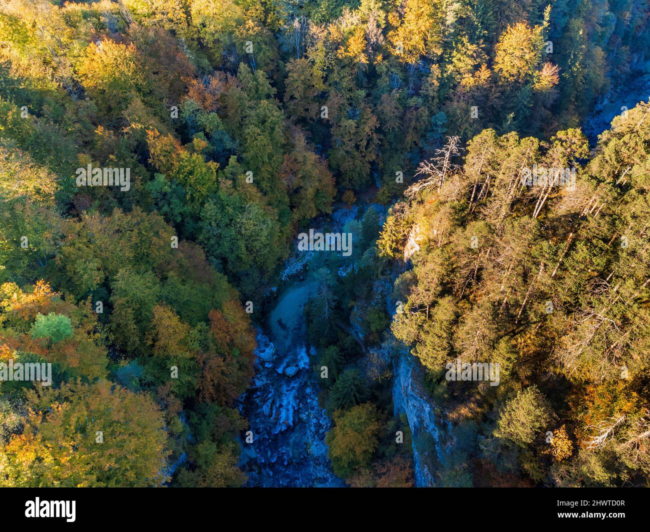 Autumn of colors in Tarvisio. Ravine of the Slizza Stock Photo - Alamy