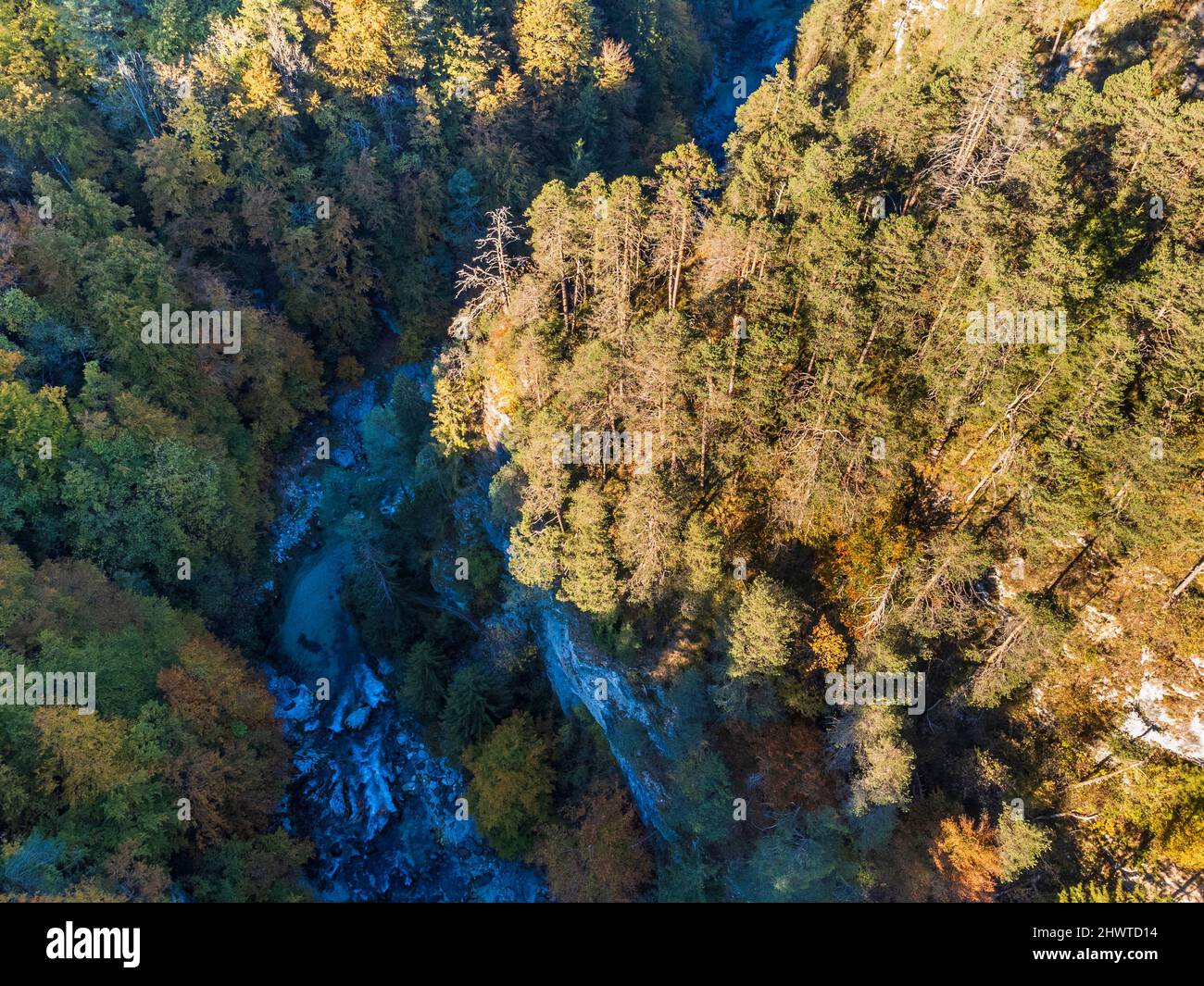 Autumn of colors in Tarvisio. Ravine of the Slizza Stock Photo - Alamy