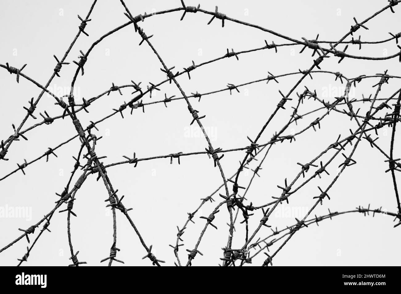 Rusty barbed wire against blue sky. War and imprisonment concepts. Aged ...