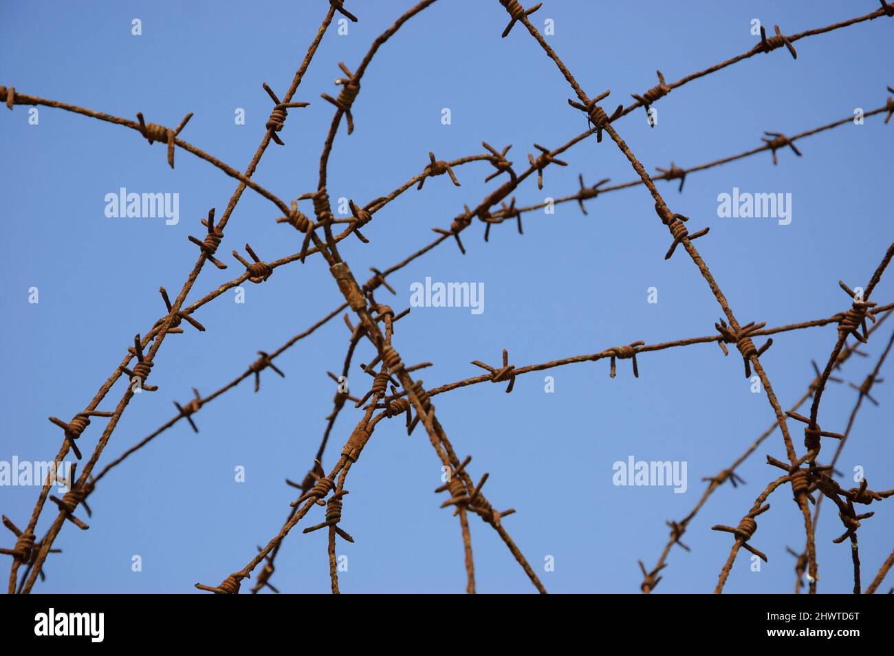 Rusty barbed wire against blue sky. War and imprisonment concepts Stock ...