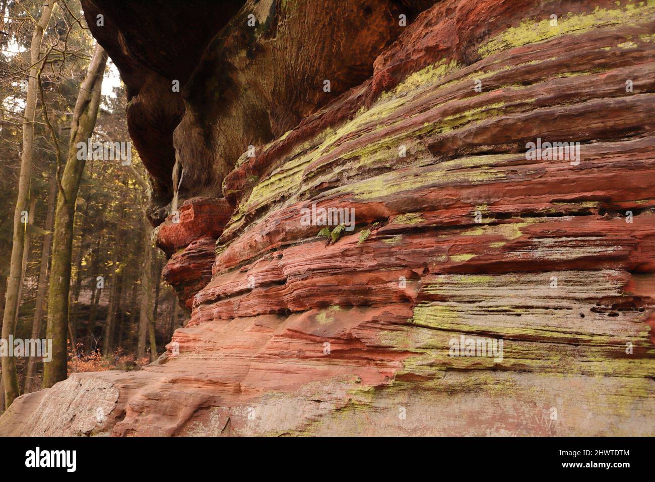 a colorful sandstone rock as background Stock Photo - Alamy
