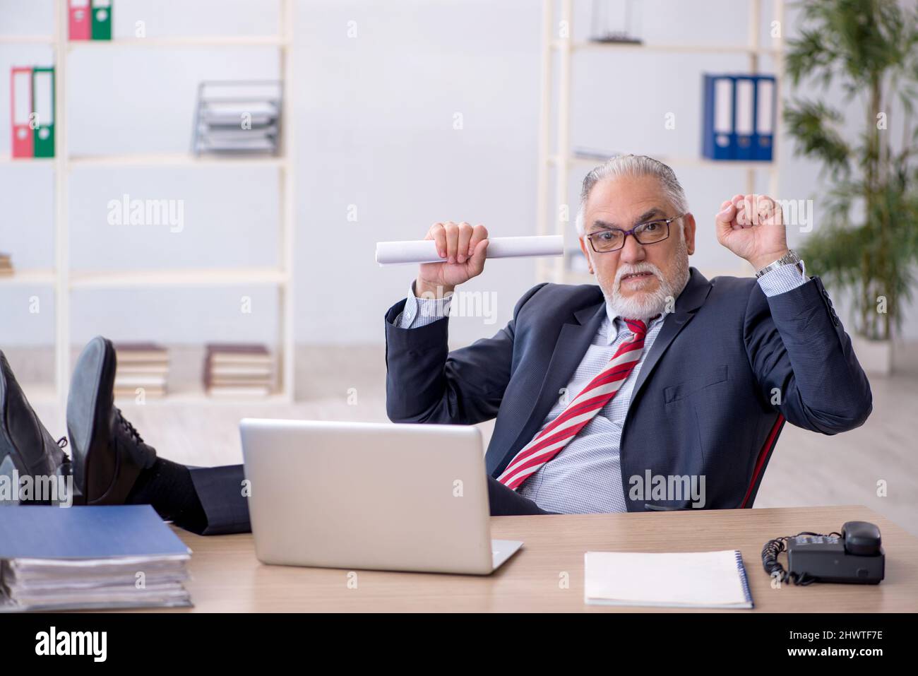 Successful old man laptop celebrating hi-res stock photography and ...